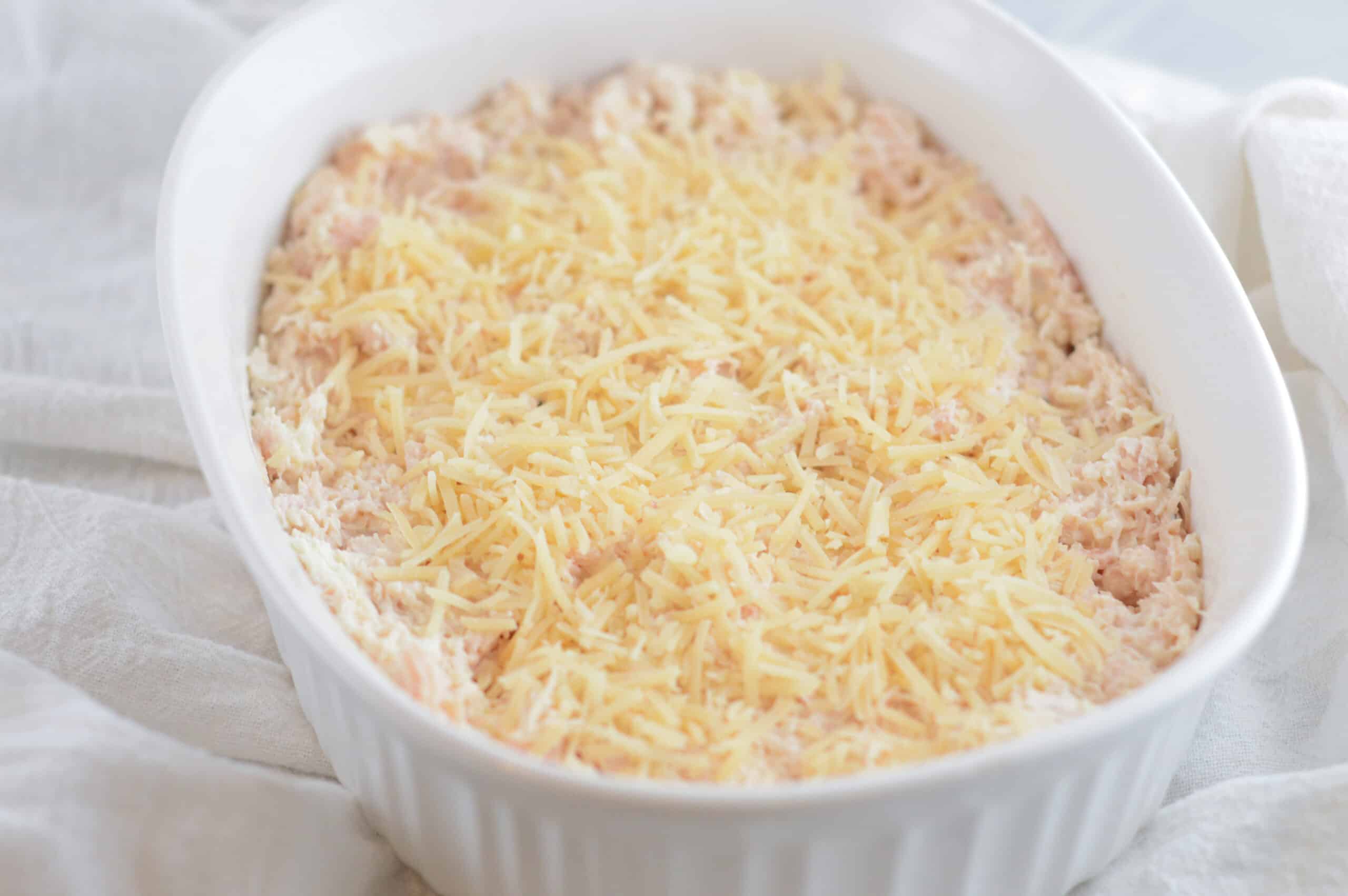 Keto Garlic Parmesan Dip Recipe with chicken - Everyday Ketogenic